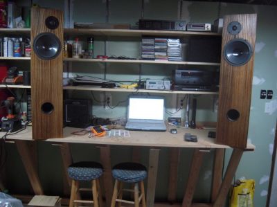 Peerless and Seas 2-way Towers in Zebrawood - DIY Audio Projects Photo ...
